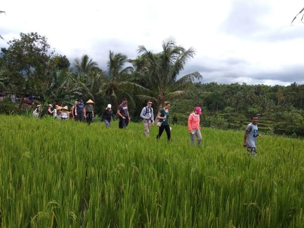 Tetebatu Village Tour Package Information - Tetebatu Trekking Homestay